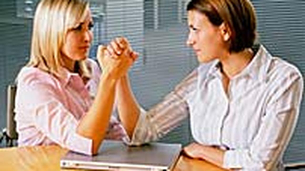 "Кошачьи бои" | WMJ.ru